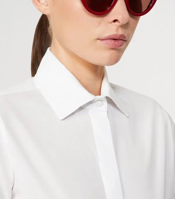 Max Mara Butterfly Sunglasses