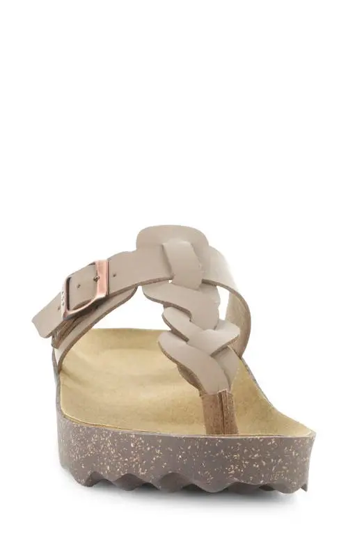 Fly London Cardigen Flip Flop - Sand
