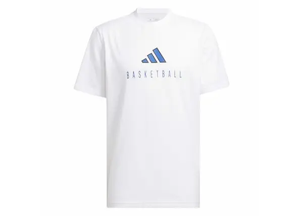 Adidas Worldwide Hoops Logo Performance Graphic Tee Shirt