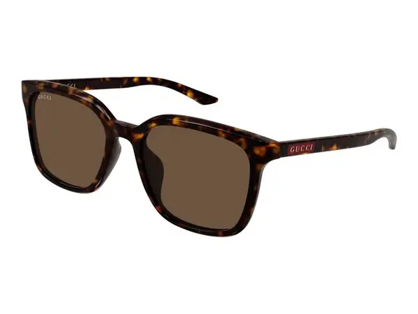 Gucci Square Frame Sunglasses - Havana Havana Brown/brown (gg2080sk/002)