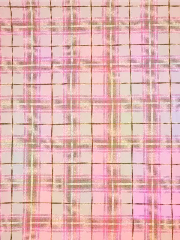 Eric Bompard Tartan Fringed Scarf - Pink