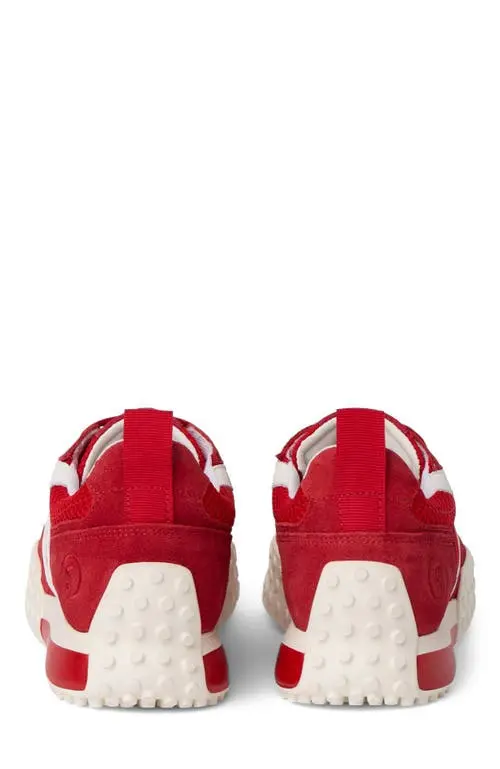 FRESHY Signature Series Trainer