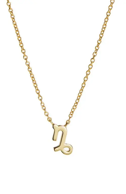 ANA LUISA Zodiac Pendant Necklace - Capricorn
