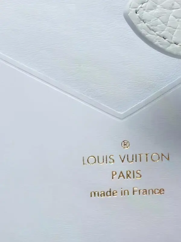 LOUIS VUITTON 2021 Vertical Wallet