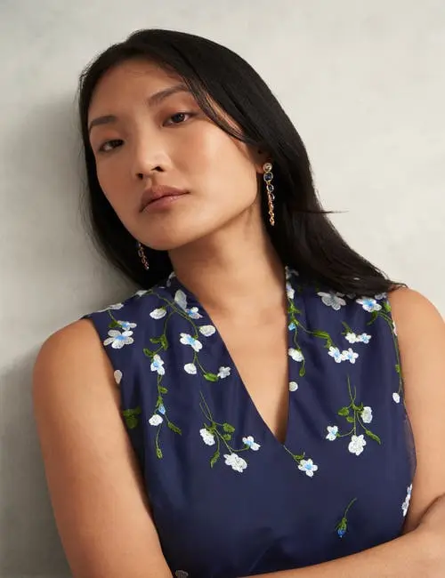 HOBBS LONDON Aria Embroidered Sleeveless V-neck Dress