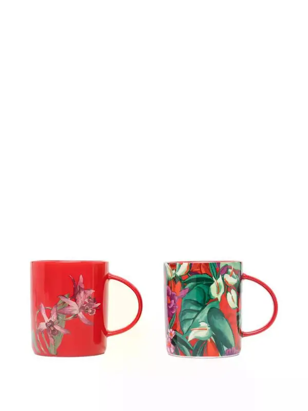 Farm Rio Happiness To Drink Mugs - Red