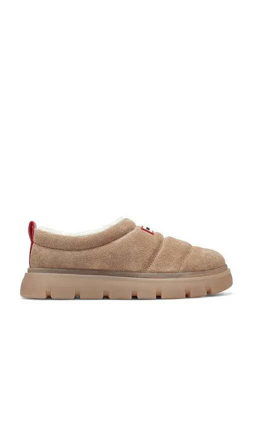 Hunter Madison Mule