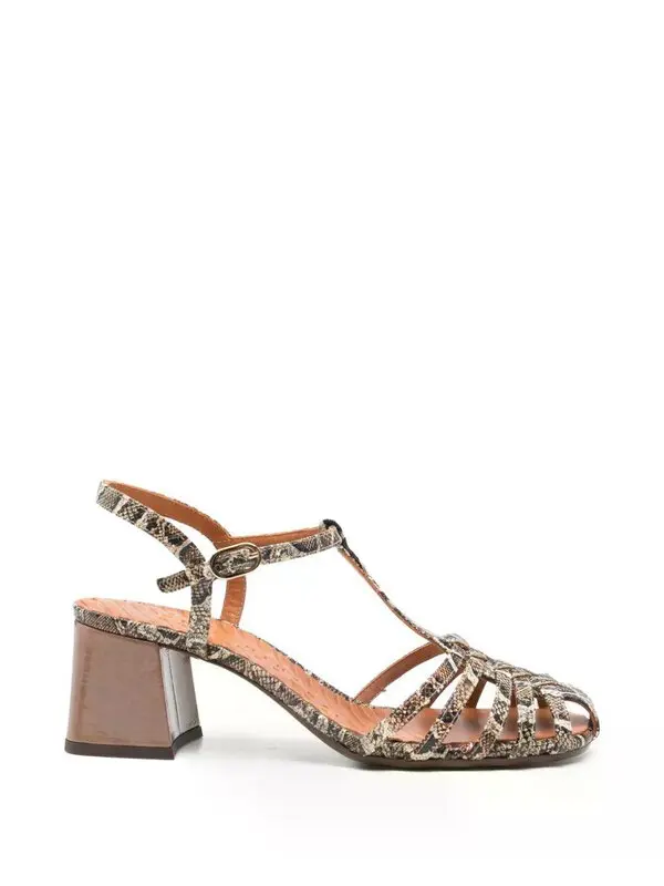 Chie Mihara T-strap Snake-print Pumps - Brown