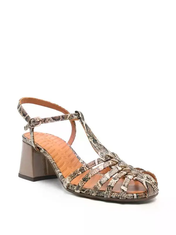 Chie Mihara T-strap Snake-print Pumps - Brown