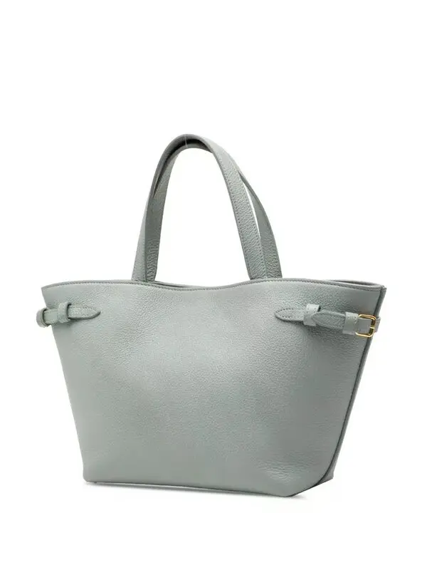 Celine 2024 Mini Grained Calfskin Cuir Triomphe Cabas Anais Tote - Grey