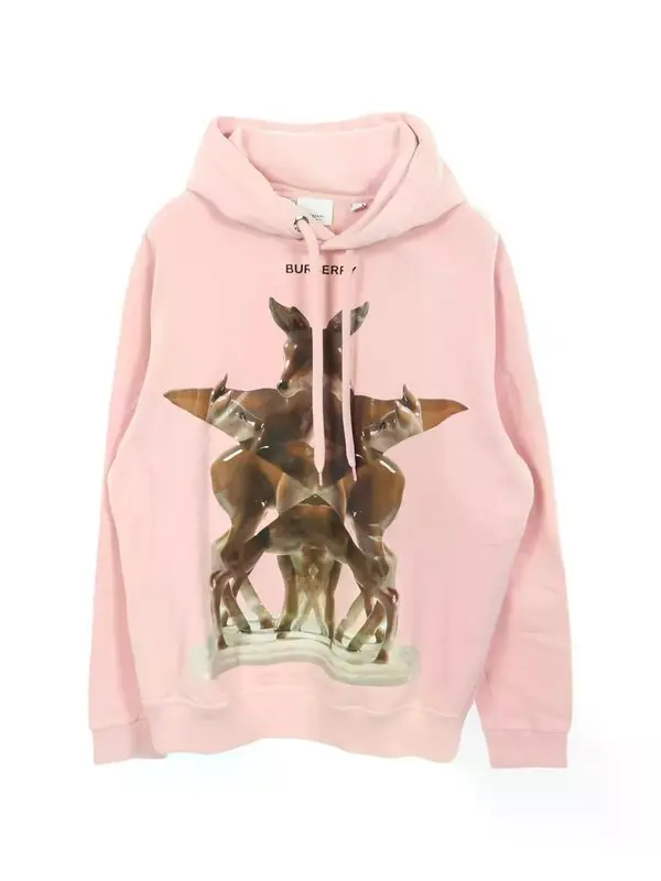 Burberry 2010s Printed Hoodie