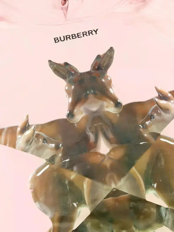 Burberry 2010s Printed Hoodie