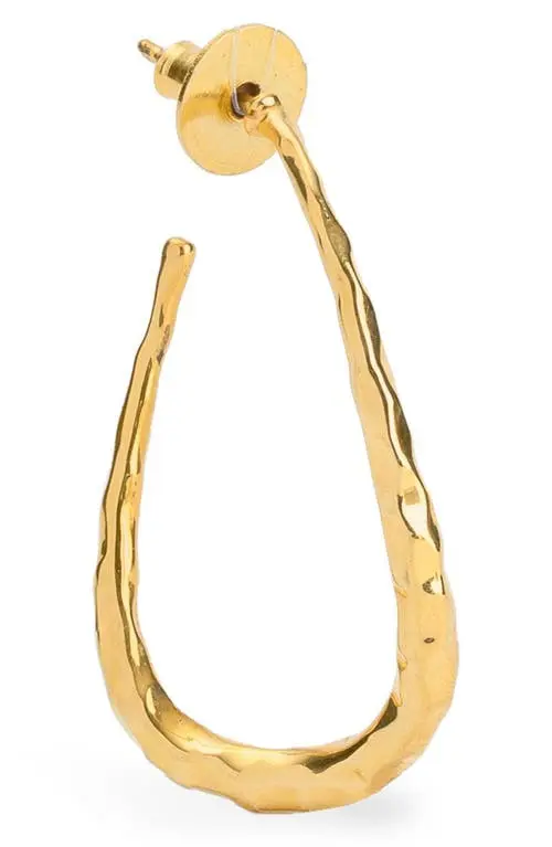 NAVEDA Raya Hoop Earrings - Gold