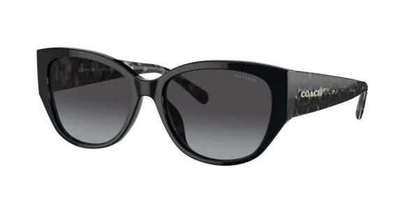 COACH Sunglasses - Grey Gradient