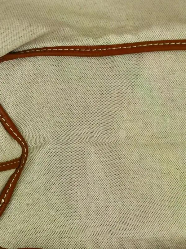 Goyard Saint Louis Coated Canvas Pm Tote Bag - Brown