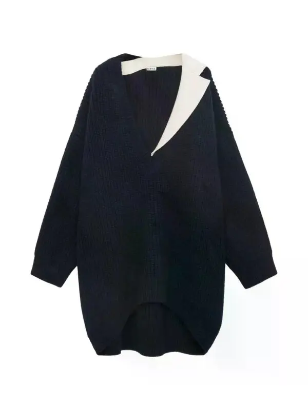 Loewe V-neck Sweater