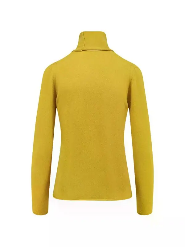 ALESSANDRO ASTE Roll-neck Cashmere Sweater