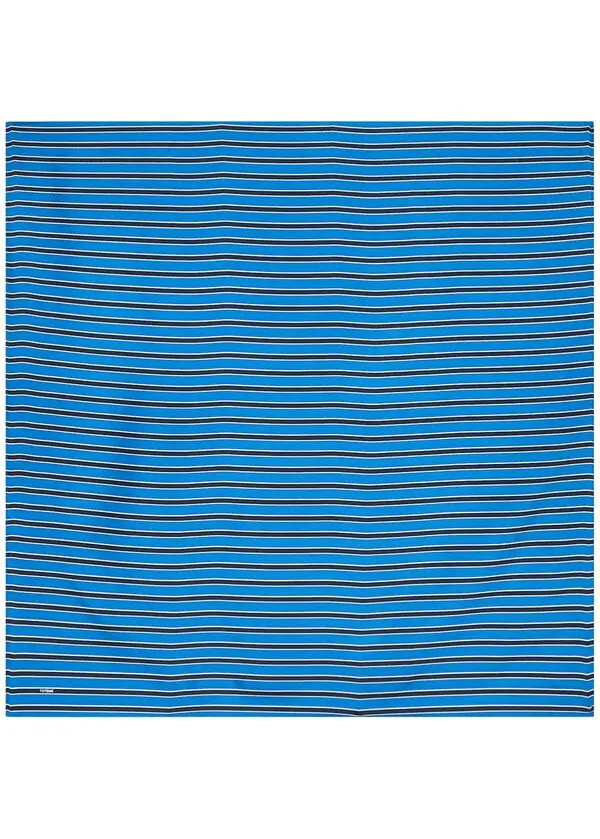 TOTEME Striped Silk Scarf - Blue