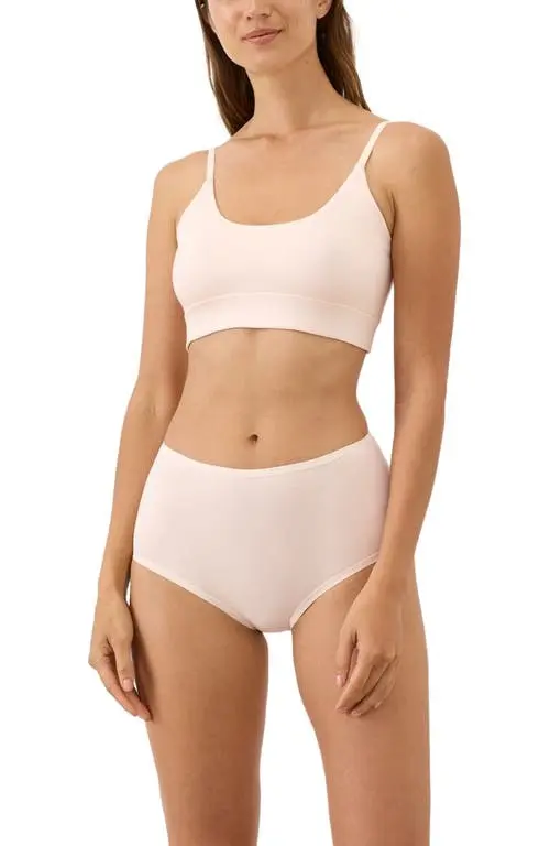 PACT Everyday High Rise Brief 5-pack Made With Organic Cotton - Core Edit