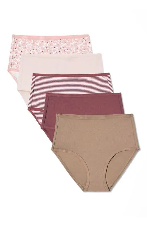 PACT Everyday High Rise Brief 5-pack Made With Organic Cotton - Everyday Lakeside Lilies