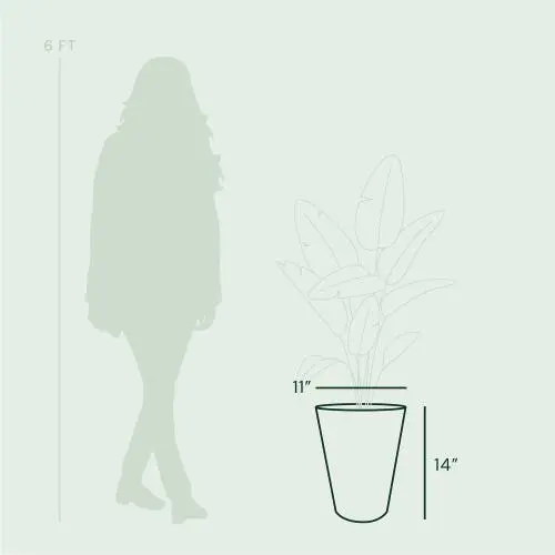 BLOEM 14" Tall Finley Tapered Round Planter