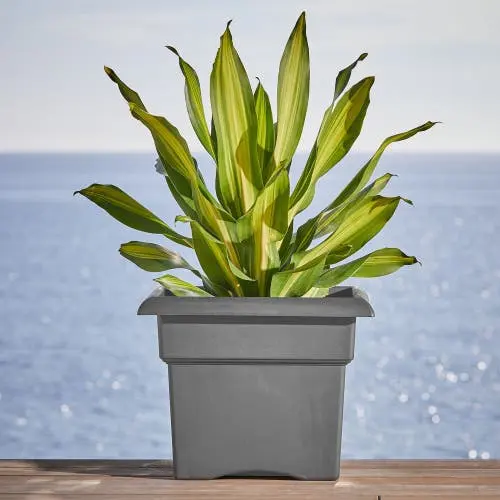 BLOEM Veranda Square Deck Box Planter 18",charcoal, Matte Finish