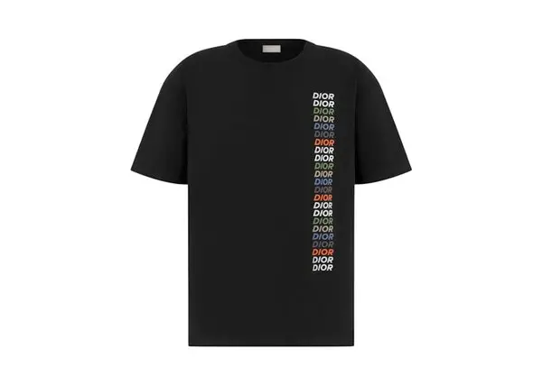 Dior Printed Logo T-shirt