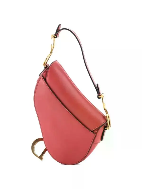 Dior Saddle Leather Mini Shoulder Bag