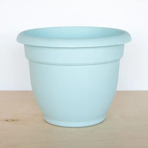 BLOEM 12 Inch Ariana Pot Planter