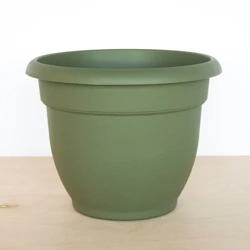 BLOEM 12 Inch Ariana Pot Planter