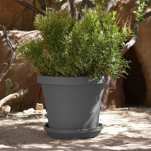 BLOEM 24 Inch Terra Pot Planter