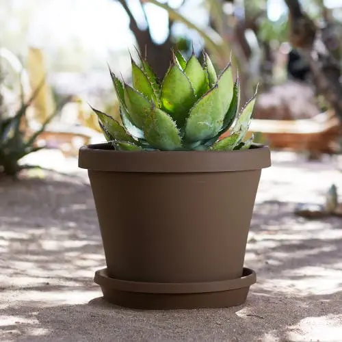 BLOEM Terra Pot Planter 16 Inch Chocolate