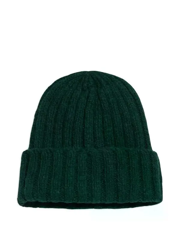 FORTELA Folded Cuff Beanie - Green