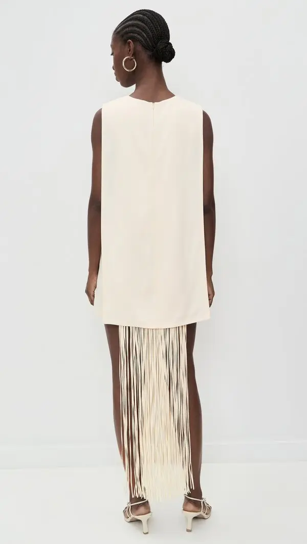Alexis Mackenzie Sleeveless Fringe Mini Dress
