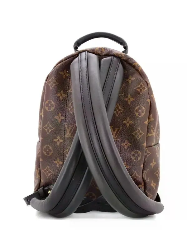 LOUIS VUITTON Palm Springs Monogram Canvas Pm Backpack