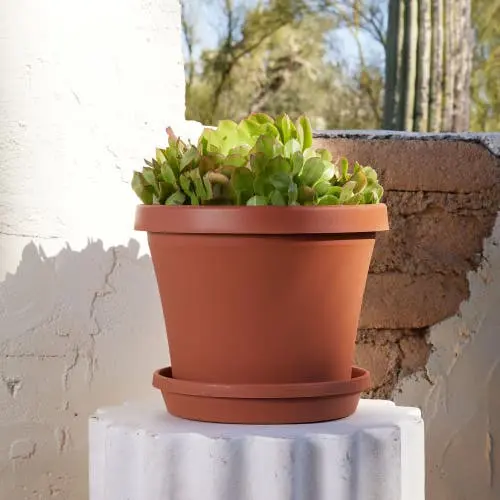 BLOEM 14 Inch Terra Pot Planter