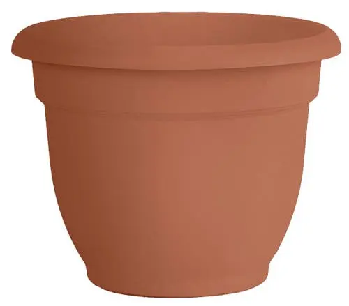 BLOEM Ariana Pot Planter