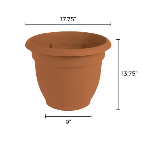 BLOEM Ariana Pot Planter