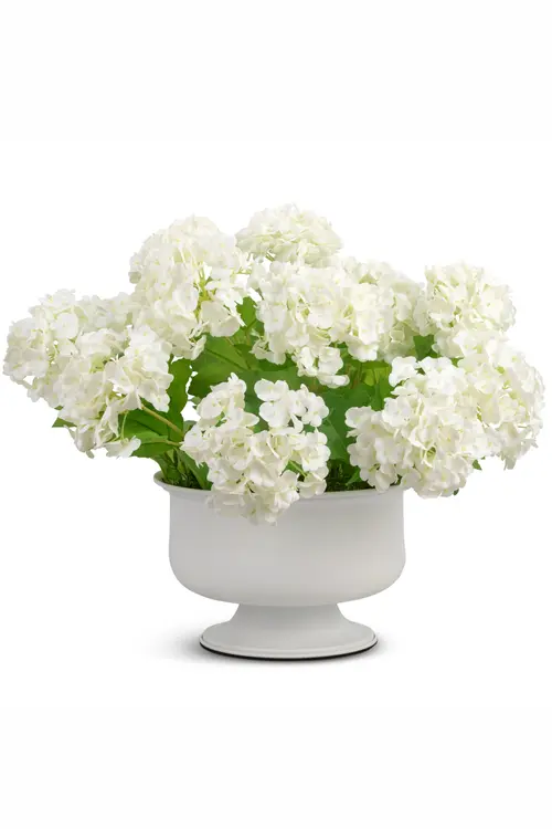 COCOBELLA Cosima Realtouch Ball Hydrangea Arrangement - Snow