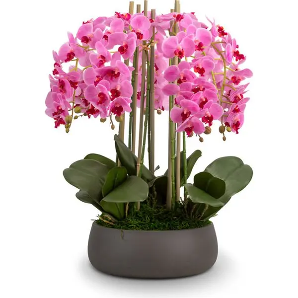 COCOBELLA Brianna Realtouch Orchid Arrangement - Periwinkle