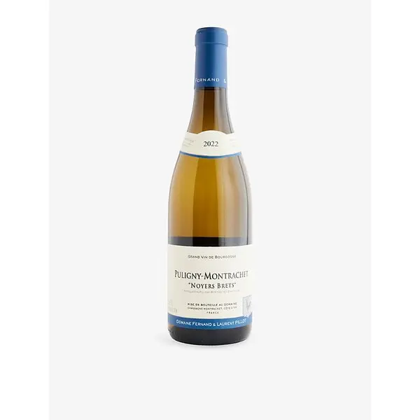 BURGUNDY Domaine Fernand & Laurent Pillot Puligny-montrachet Les Noyers Bret 2022 - One-color