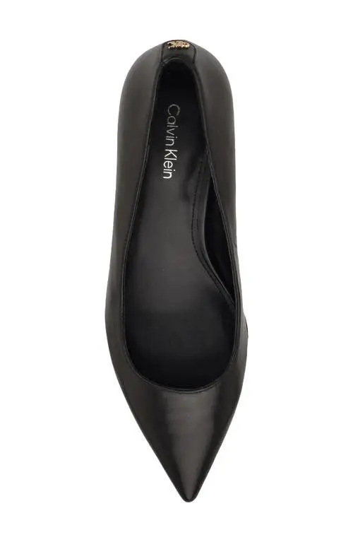 Calvin Klein Roxanna Pointed Toe Kitten Heel Pumps