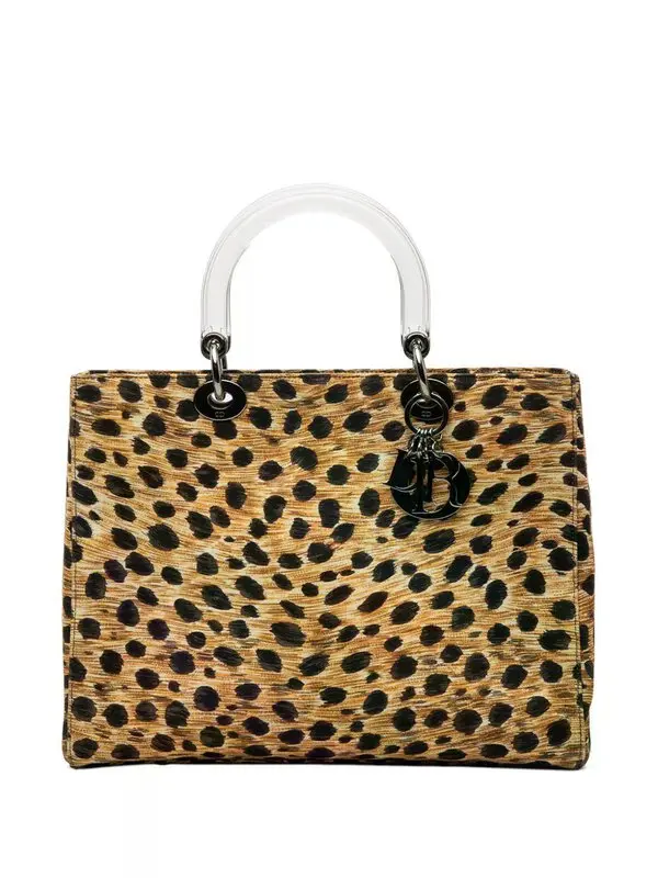 Dior 1999 Large Leopard Print Lady Satchel - Brown