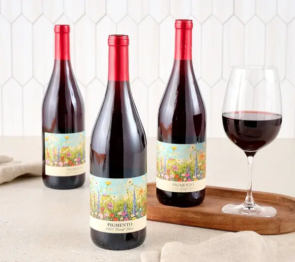 VINO VOYAGE Winemaker Picks 3 Bottles Wine Set 750ml