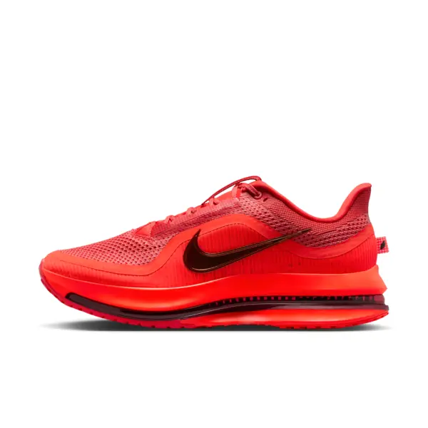 Nike Pegasus Premium Road Running Shoes