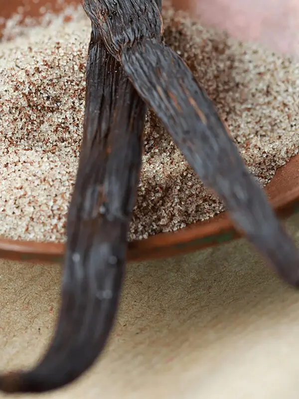 VITRUVI The Warm Vanilla Air Diffuser Kit