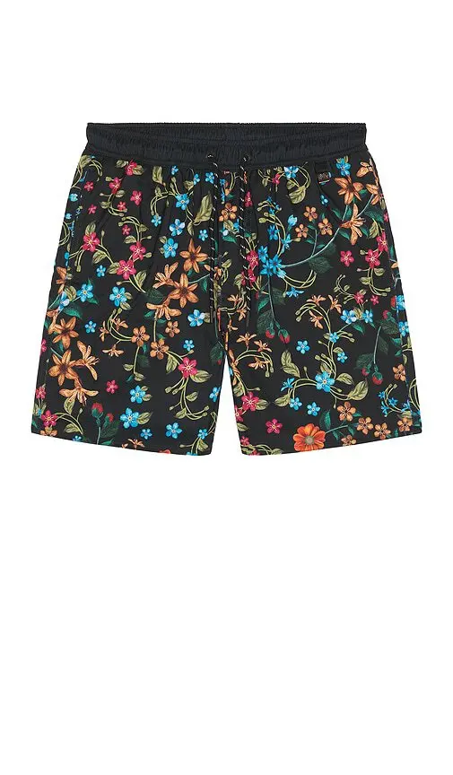 Agua Bendita Joe Trunks - Black