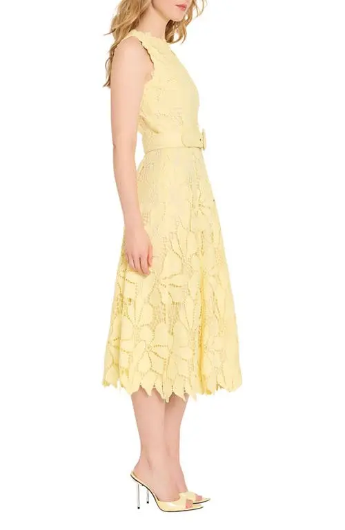 TAHARI ASL Sleeveless Belted Fit & Flare Dress