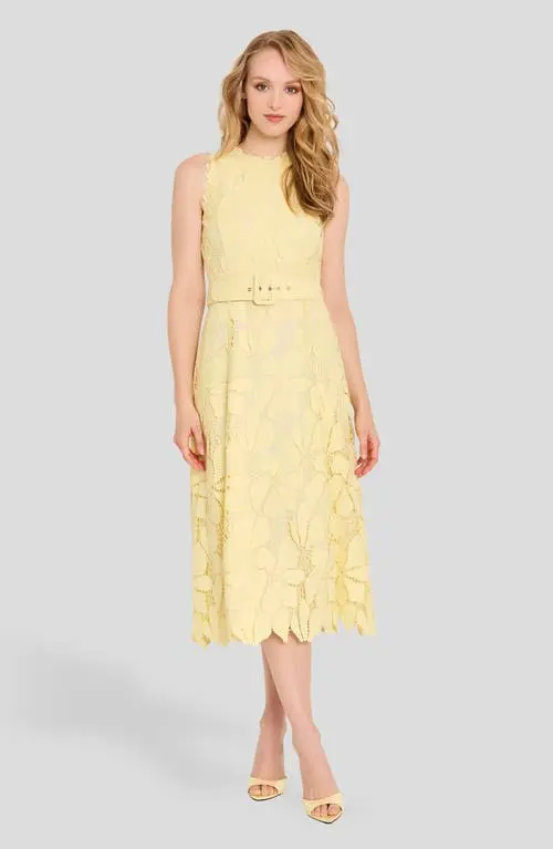 TAHARI ASL Sleeveless Belted Fit & Flare Dress