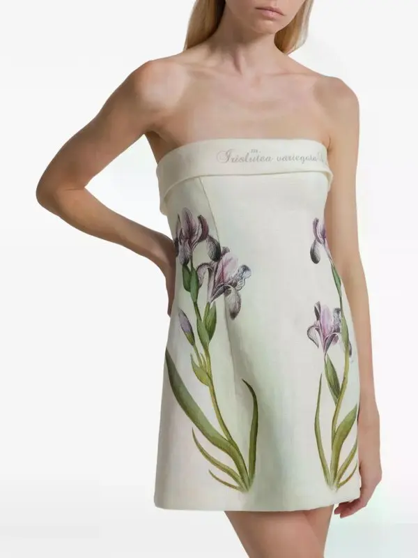 Alberta Ferretti Strapless Floral Print Dress - Neutrals